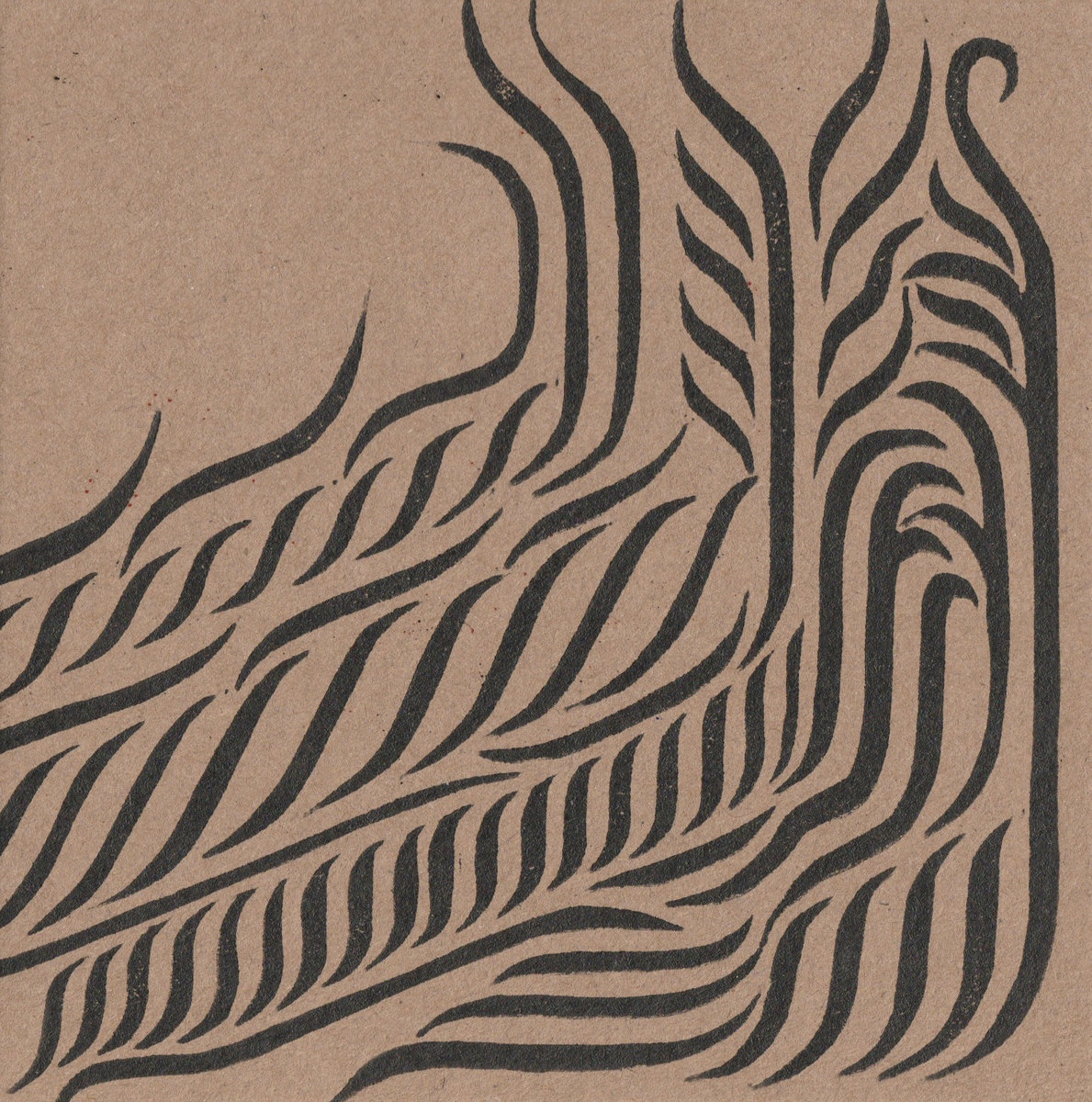 However, Forward! | Colin Webster / Daniel Thompson | Raw Tonk Records