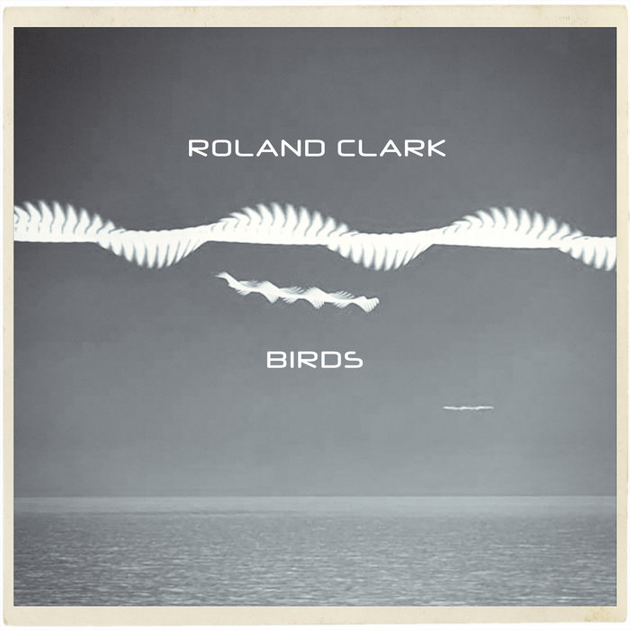 Birds | Roland Clark