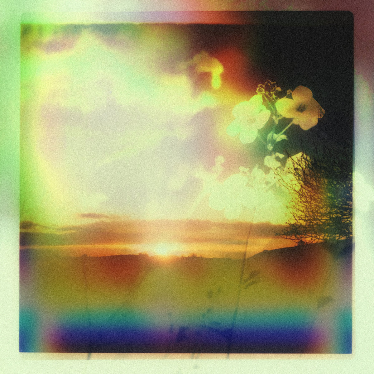 Sage EP | Tim Reaper, Mantra & Decibella | Tim Reaper