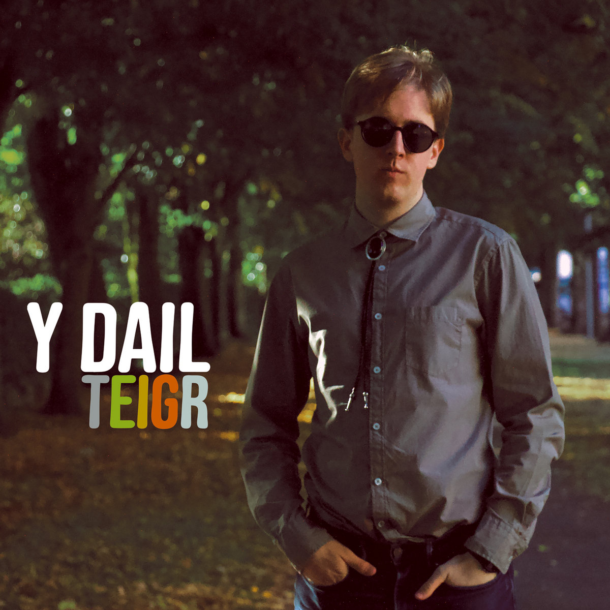 Teigr | Y Dail