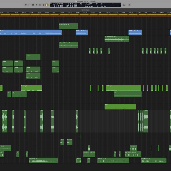 Wallfacer - Stems | Vladislav Delay