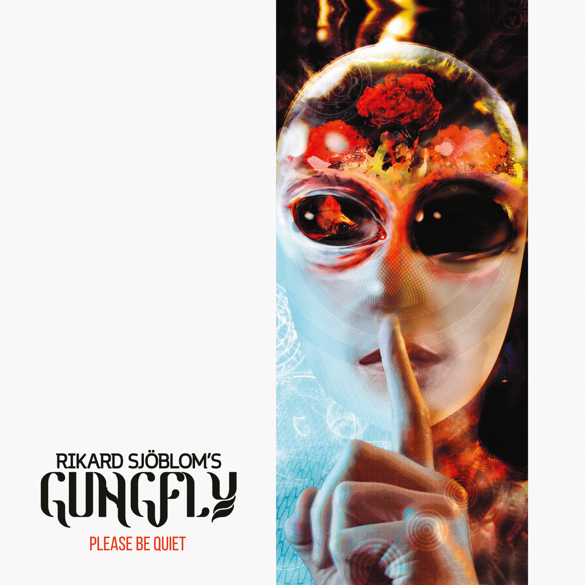 Please Be Quiet (Deluxe Edition) | Rikard Sjöblom's Gungfly ...