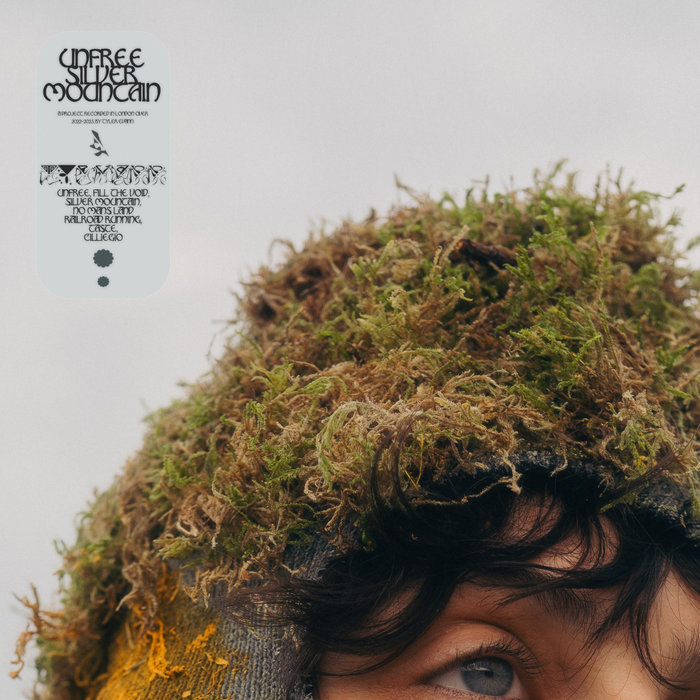 Unfree Silver Mountain | T. Evann