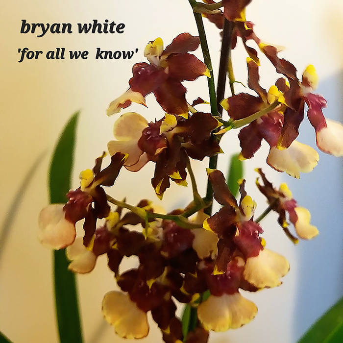 Bryan White Album