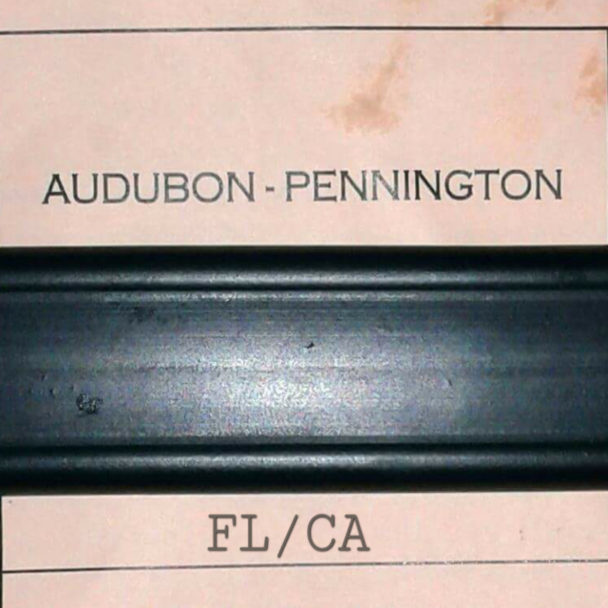 Cycles | Audubon-Pennington
