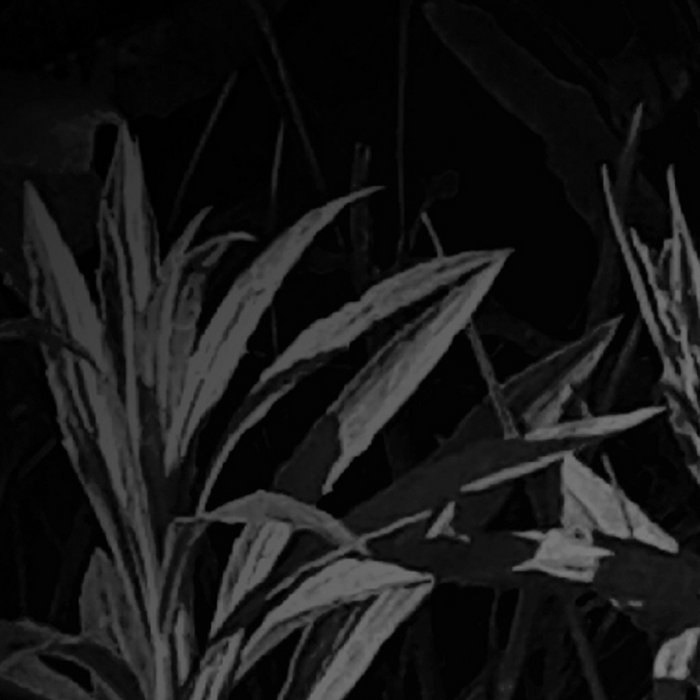 At Night | James Ghost