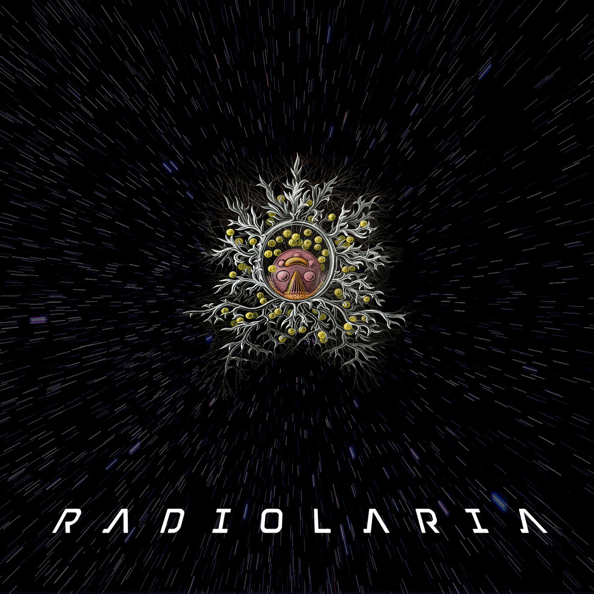 Radiolaria | Radiozoa