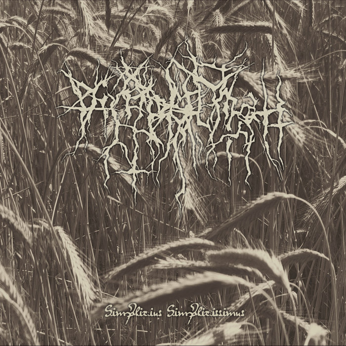 Simplicius Simplicissimus | Vimbulnatt