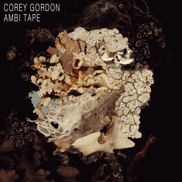 ambi 16 | Corey Gordon