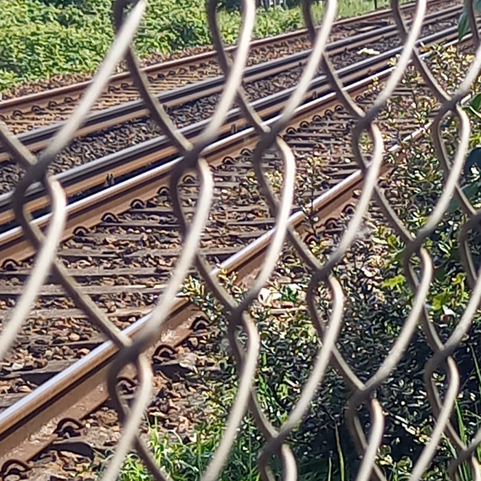 Trans-Pennine Express (Speed Restriction Mix) | The Red Lemo Collective