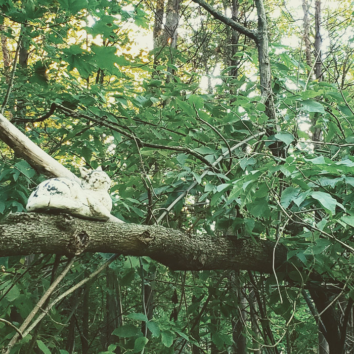 Creating Serendipity | Goodbye Arthropods