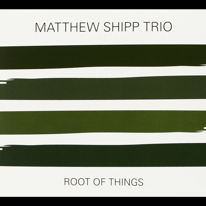 Root Of Things | Matthew Shipp Trio | Relative Pitch Records