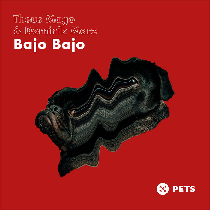 Theus Mago & Dominik Marz - Bajo Bajo [PETS201] | Theus Mago & Dominik ...