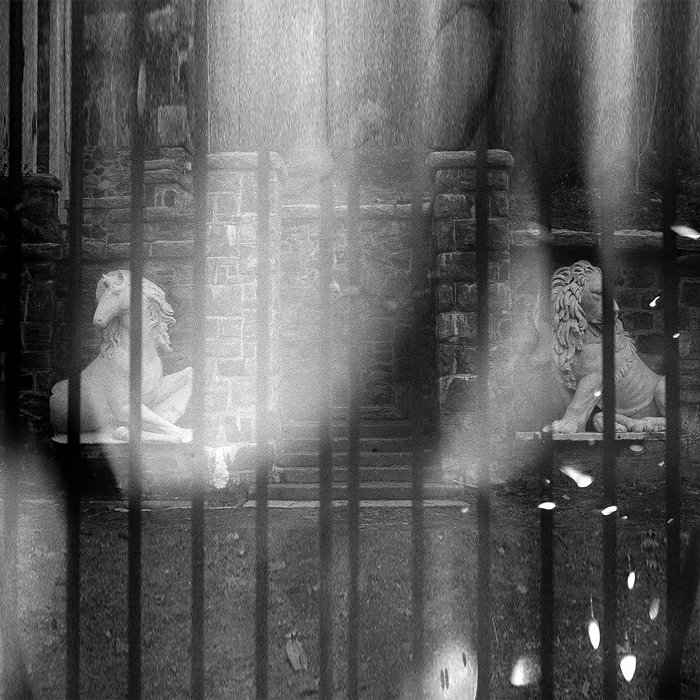 Polluted Mind | Polluted Mind