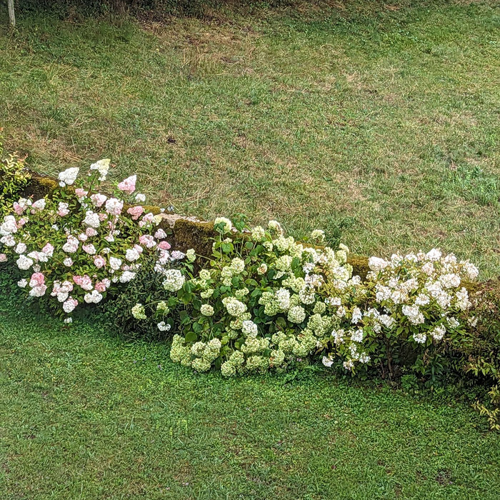 Tying Loose Ends | Octopantics