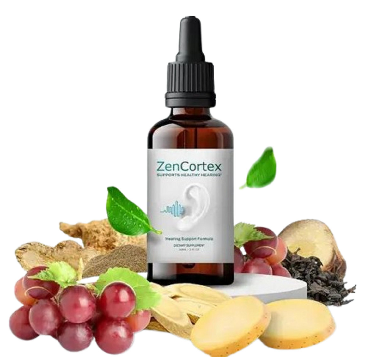 ZenCortex: Crafting a Symphony of Hearing Health | ZenCortex