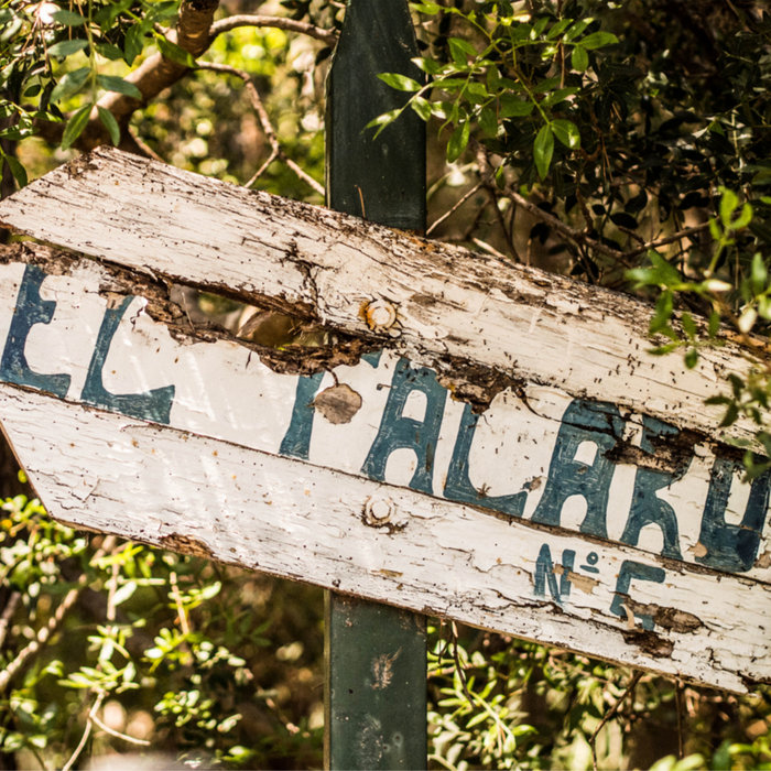 El Talaro No5 | damaa.beats