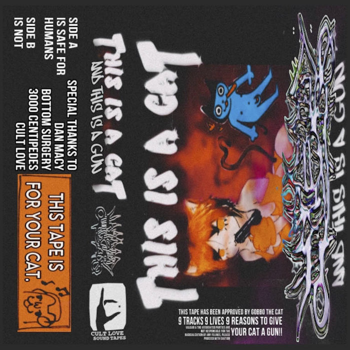 This is a Cat and This is a Gun | Vulgar | CULT LOVE SOUND TAPES