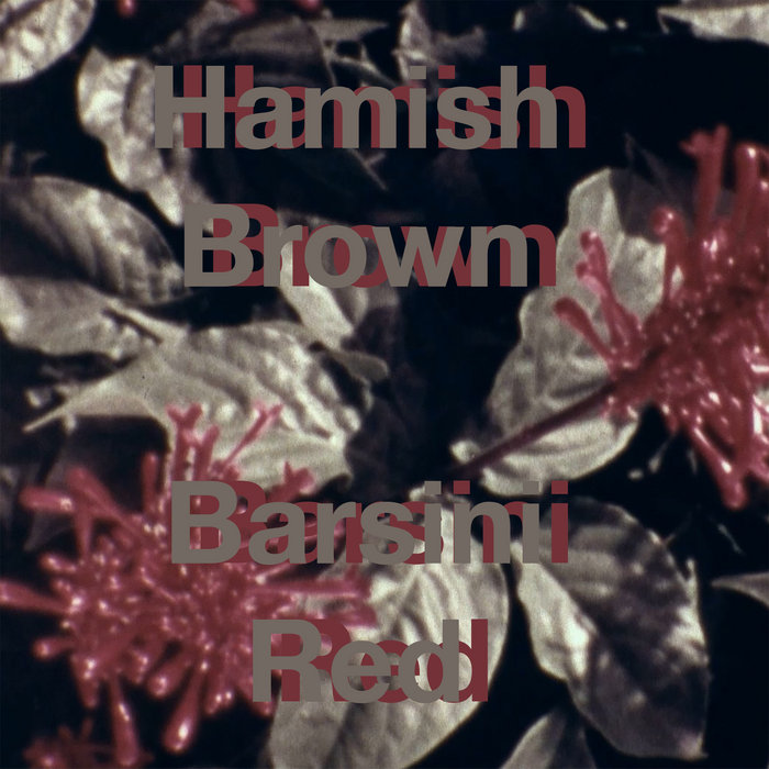 Barsini Red | Hamish Brown
