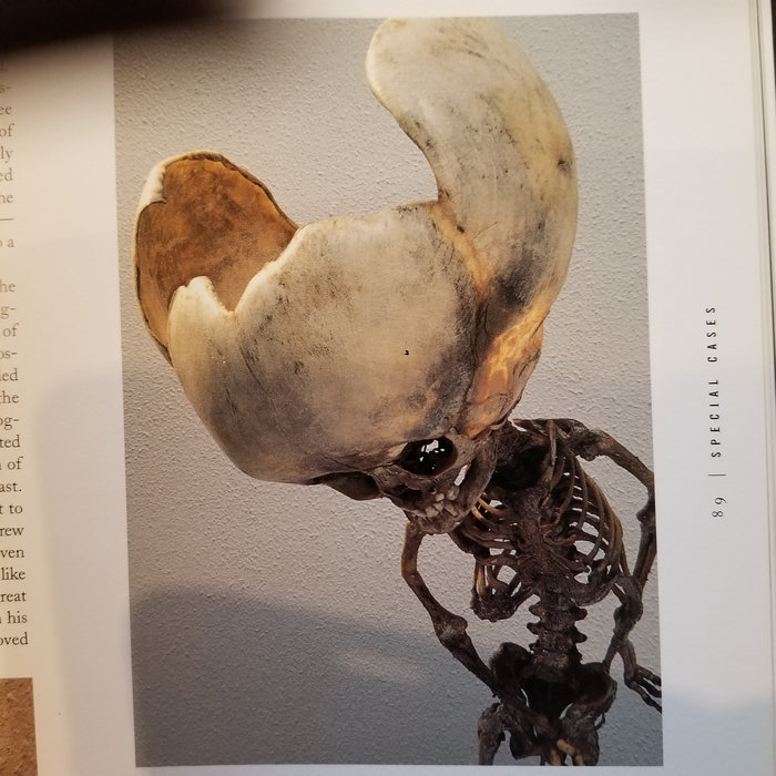 Shatan Jam 04 | Shatan