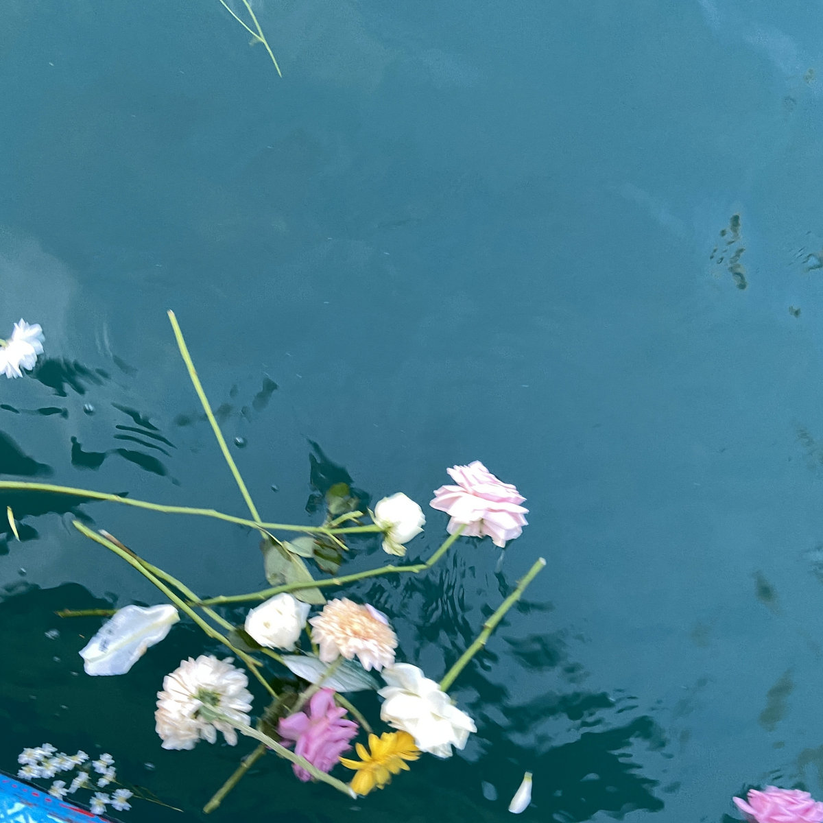 Somersault | Water Collar