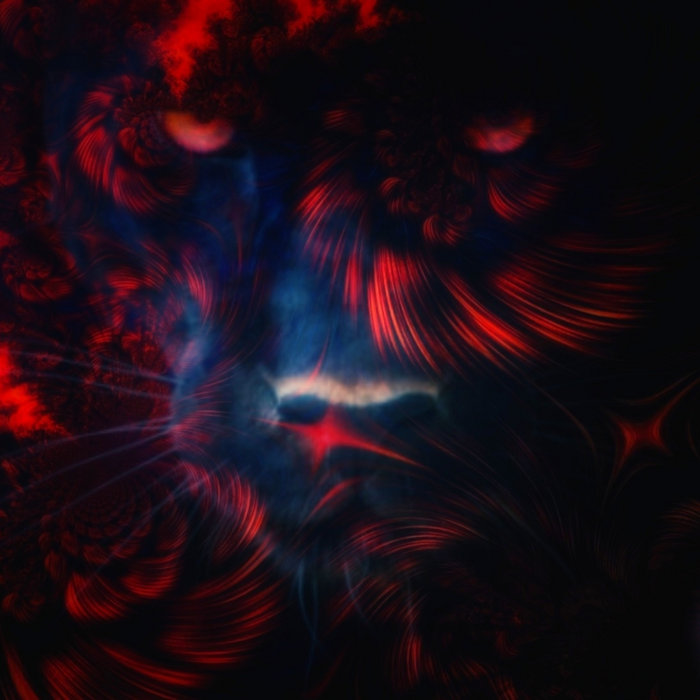 Eyes of a black panther | Tess Conway