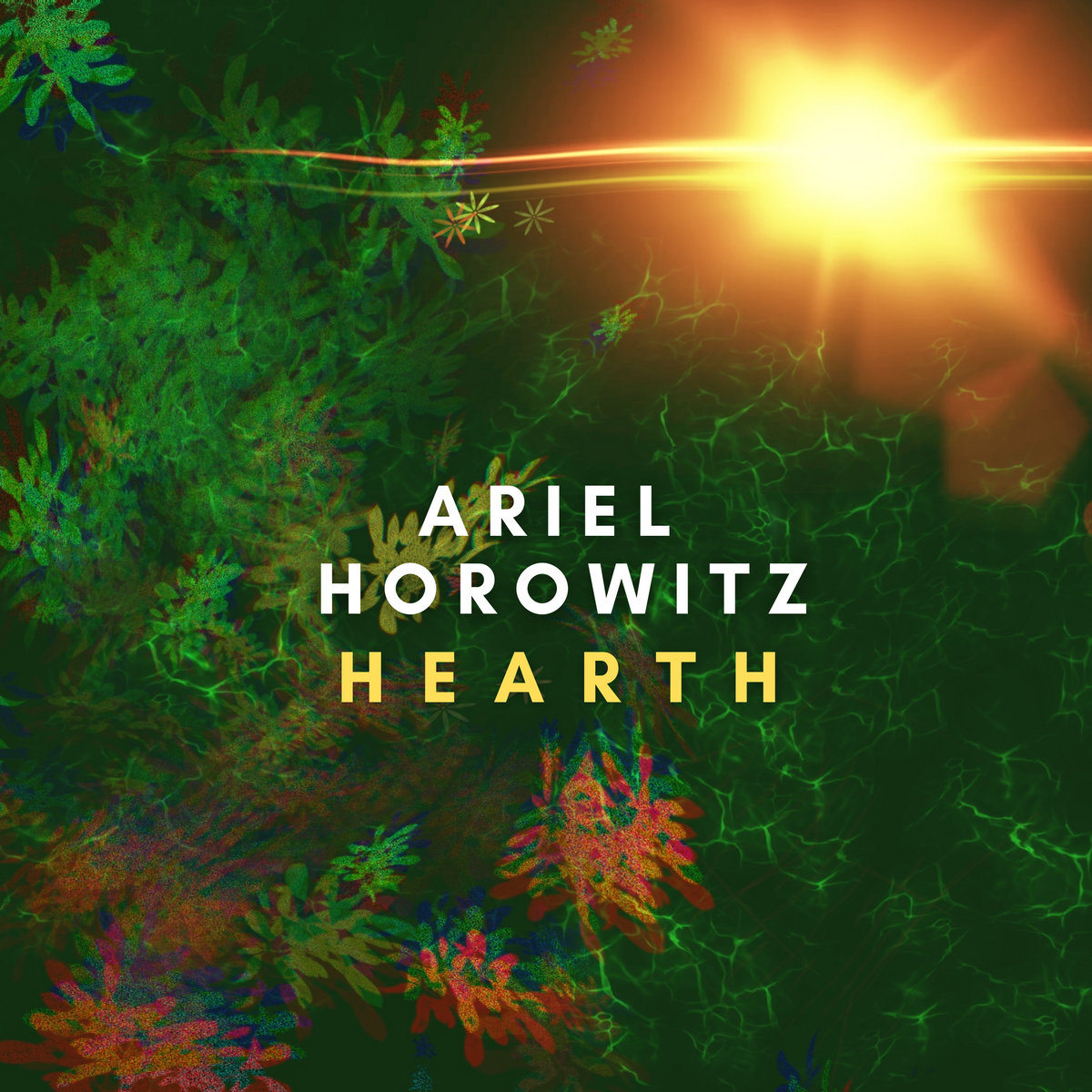 hearth | Ariel Horowitz