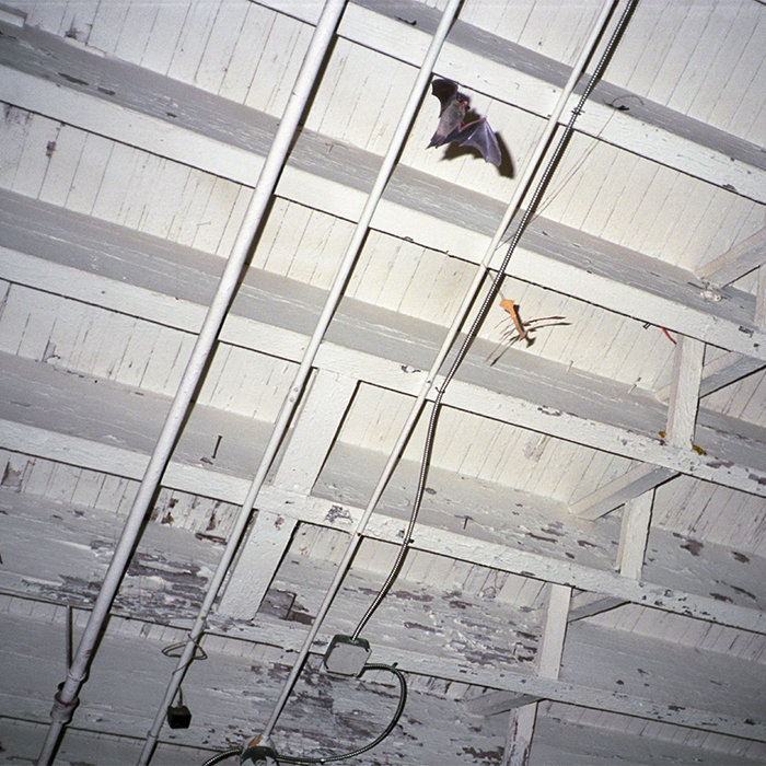 100% Take Home/Good Morning | Whatever, Dad/Jake Lazovick | Sitcom