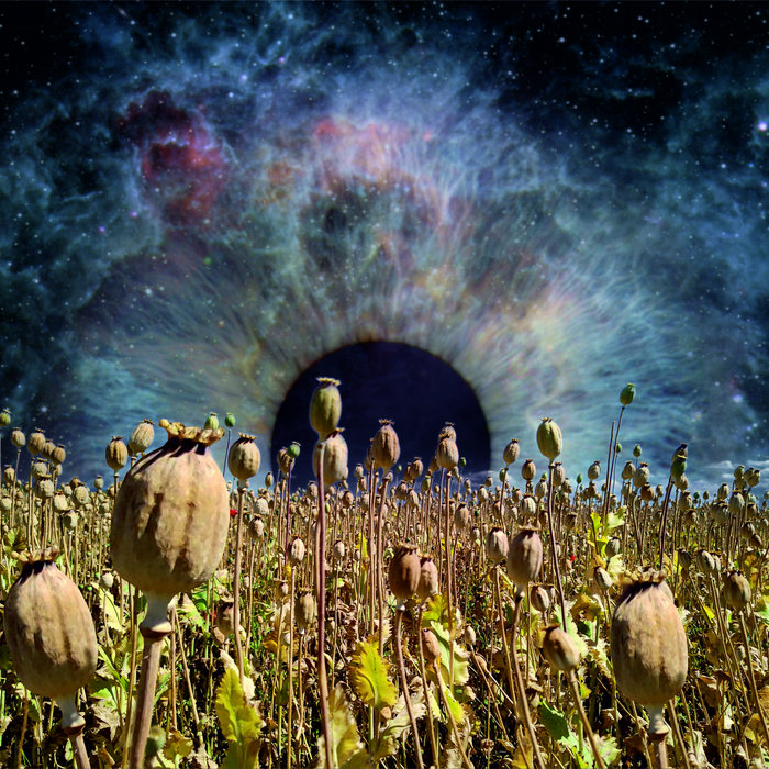 Horizons of Events | More Experience