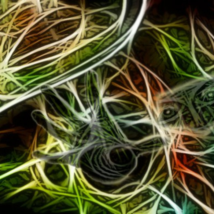 Dematerialization Process | Randy Mc