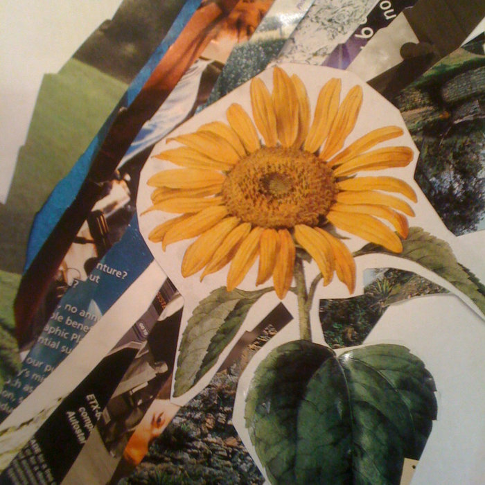 Antioch | Seymour Glass