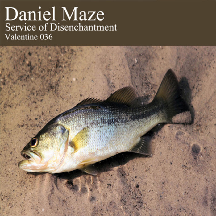 Service of Disenchantment | Daniel Maze | Valentine Records