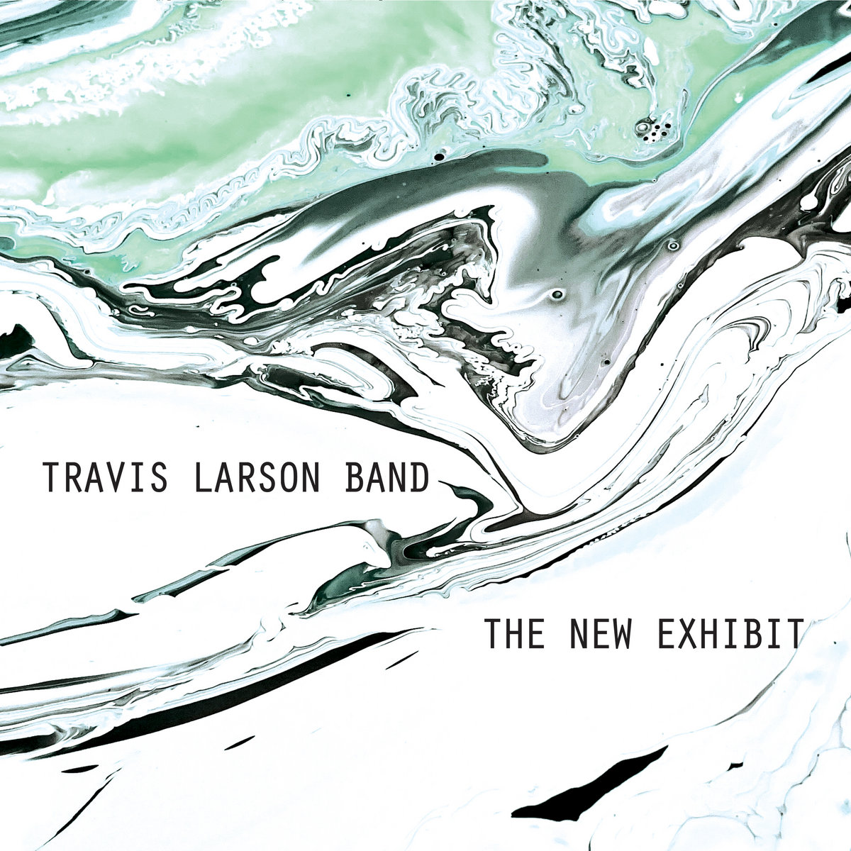 The New Exhibit | Travis Larson Band