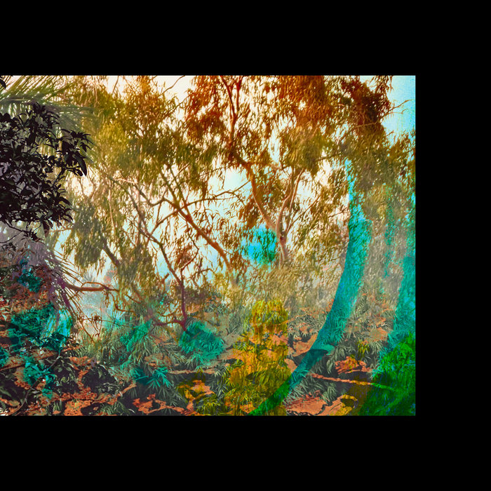 The Magic Fire | EchoHouse