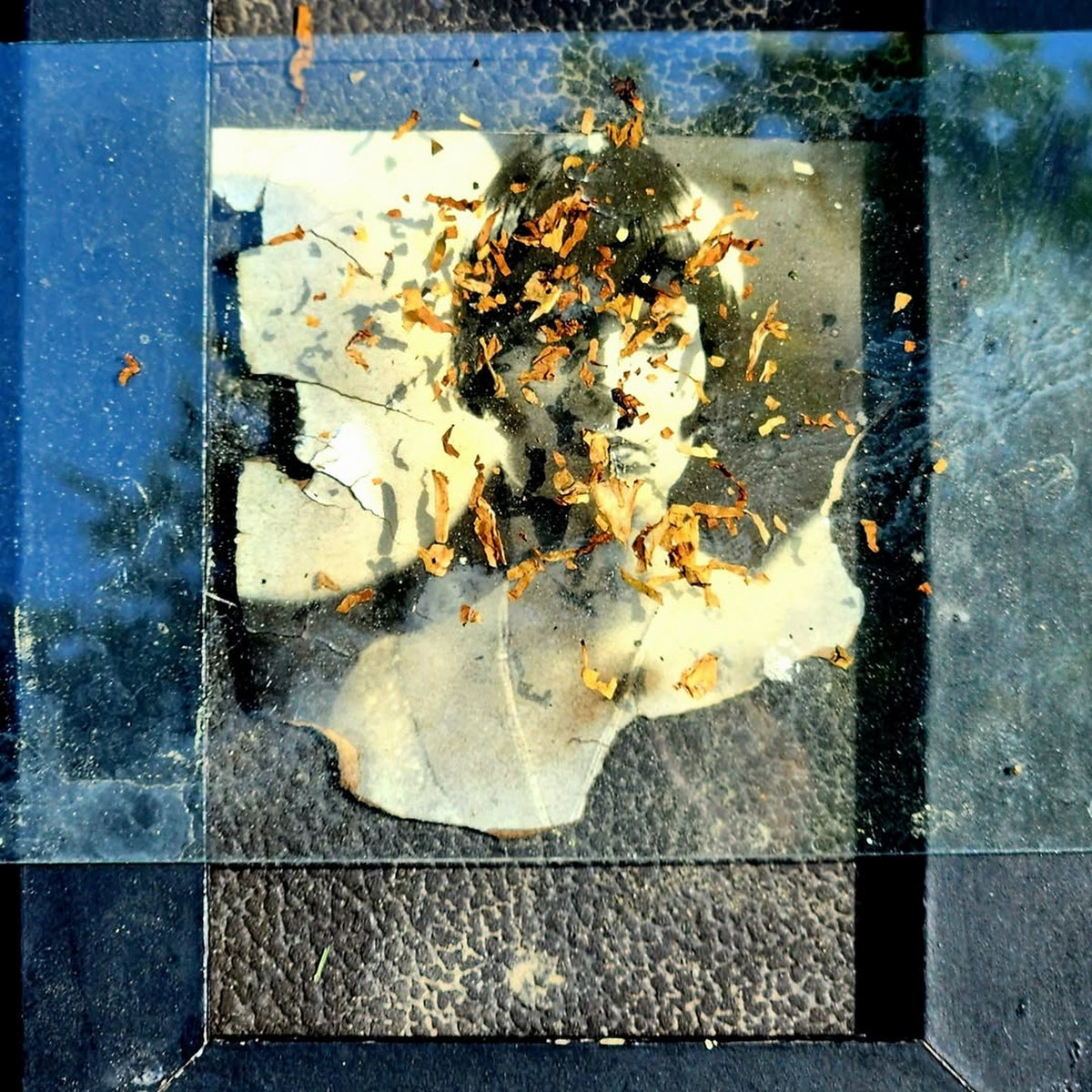 Lulu Archipelago | Jason Philip Wierzba