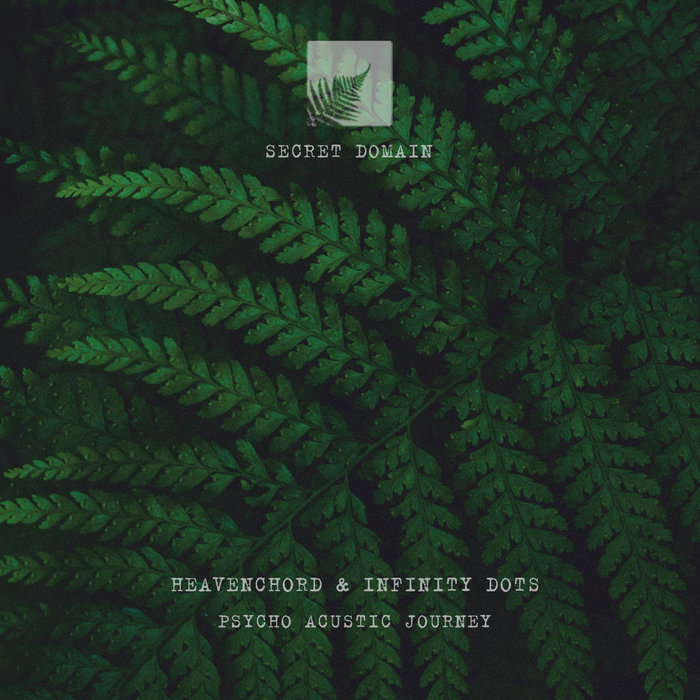 Heavenchord & Infinity Dots - Psycho Acustic Journey EP | Heavenchord ...