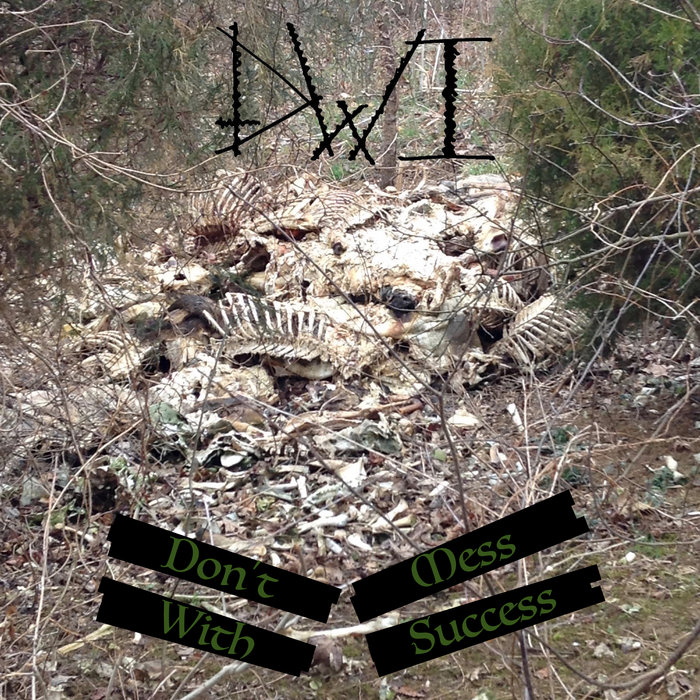 Don't Mess With Success (remastered) | DWI