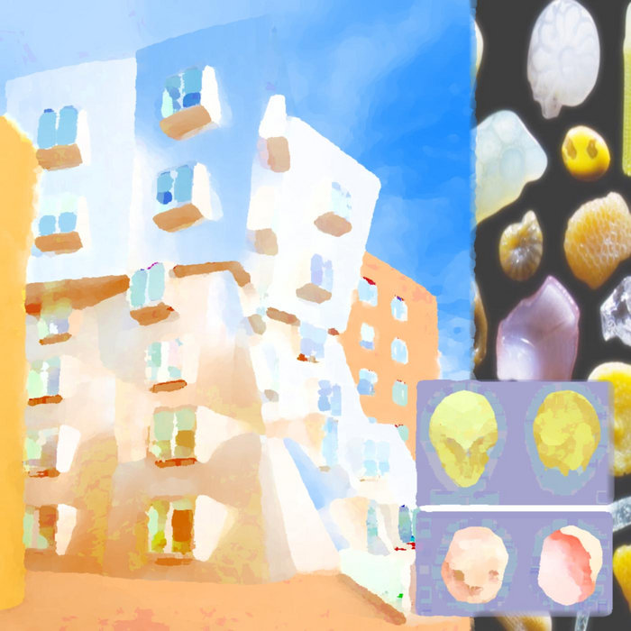 flying palace | zooid3