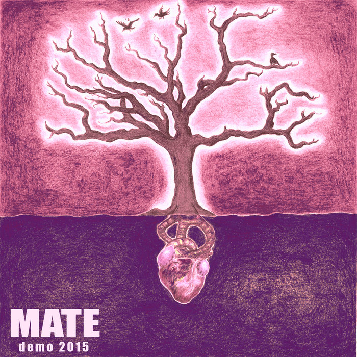 DEMO LIVE 2015 | MATE | Mate