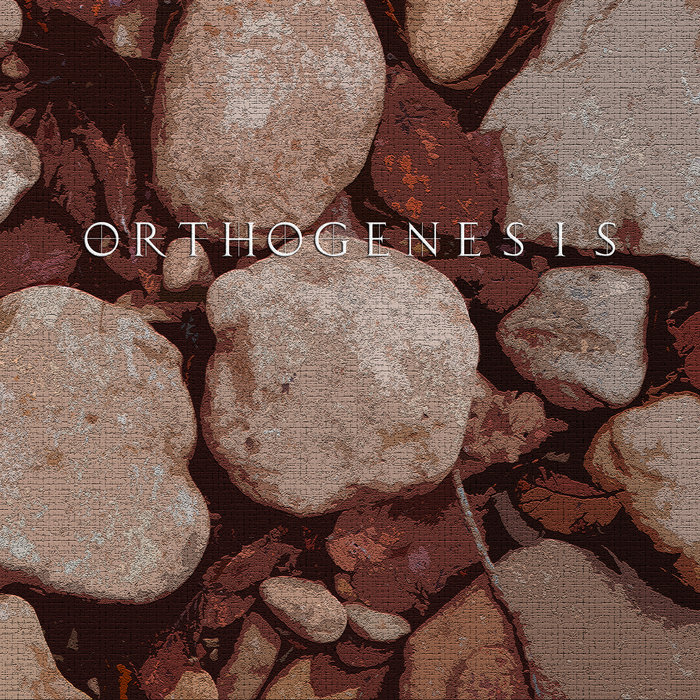 Orthogenesis