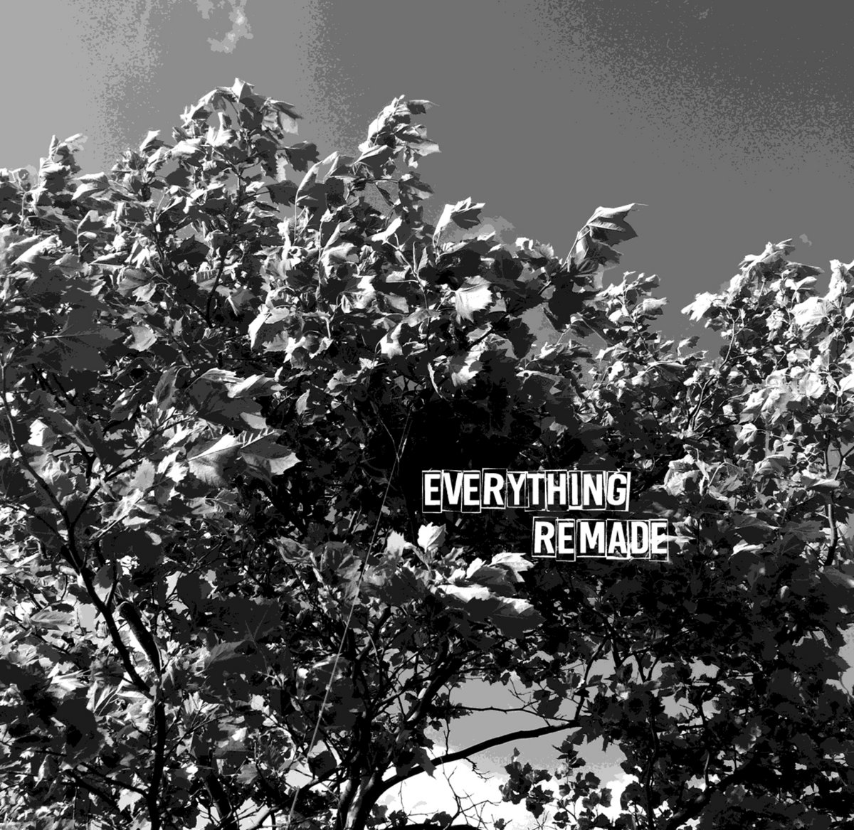 Episode 17: Hayden Rodriguez (For Your Health) | Everything Remade ...