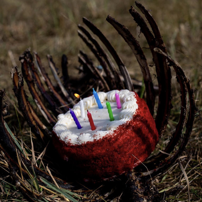 Hard Randy: Still Fat | Fat Randy