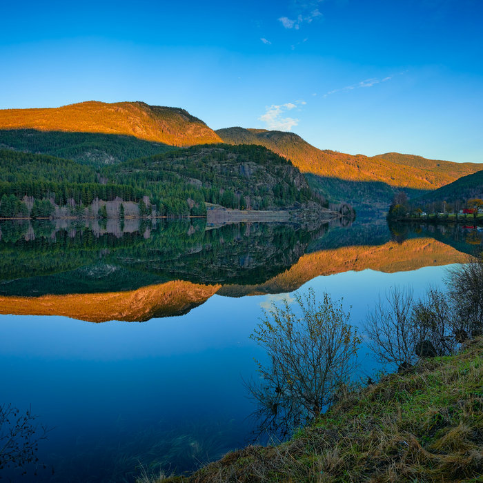 Vortex transition | Gormless