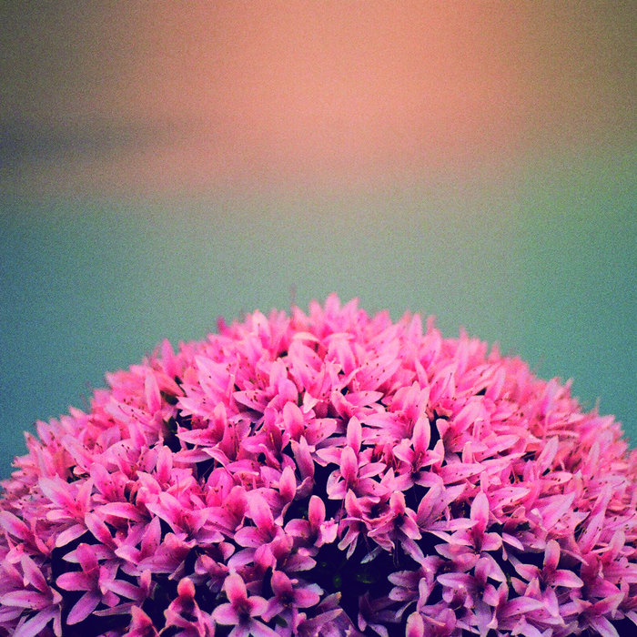 Nami | Kenneth Takanami