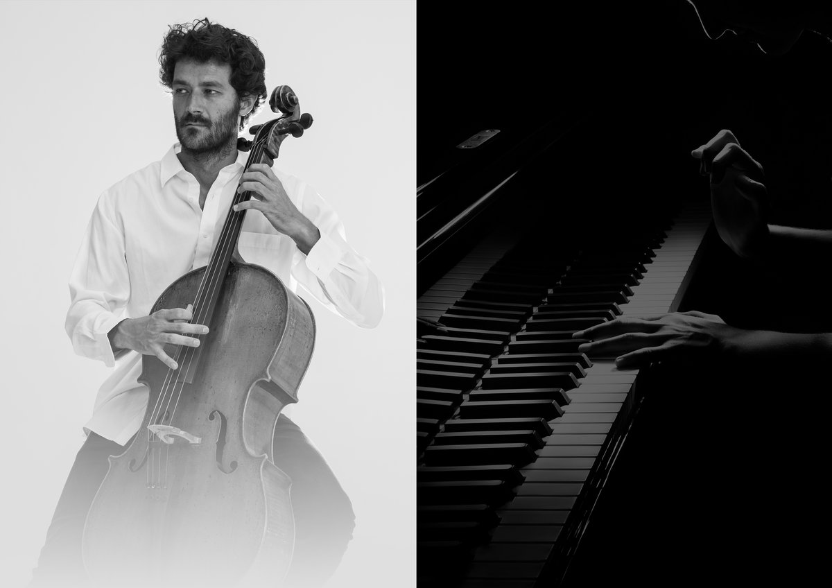 the swan | Andrei Cavassi | AndreiCavassi