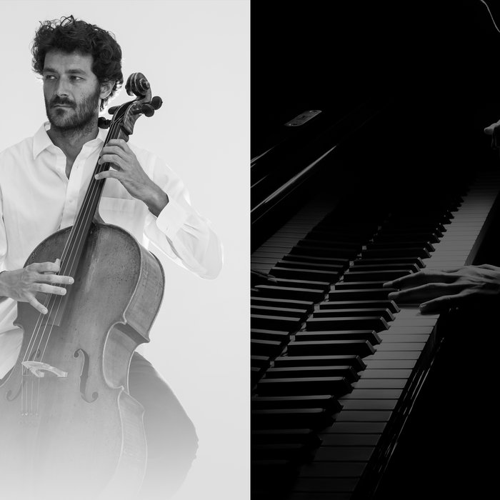 the swan | Andrei Cavassi | AndreiCavassi