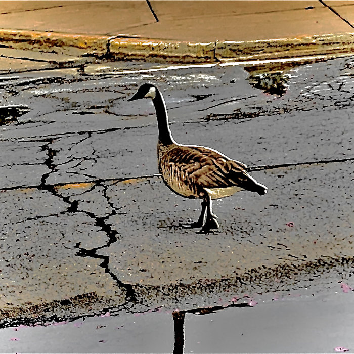 Hearts of Vermin | The Parts of the Body