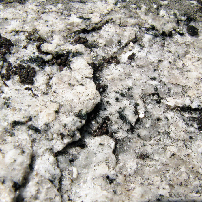 Marble Muscles | Tall Girlfriend