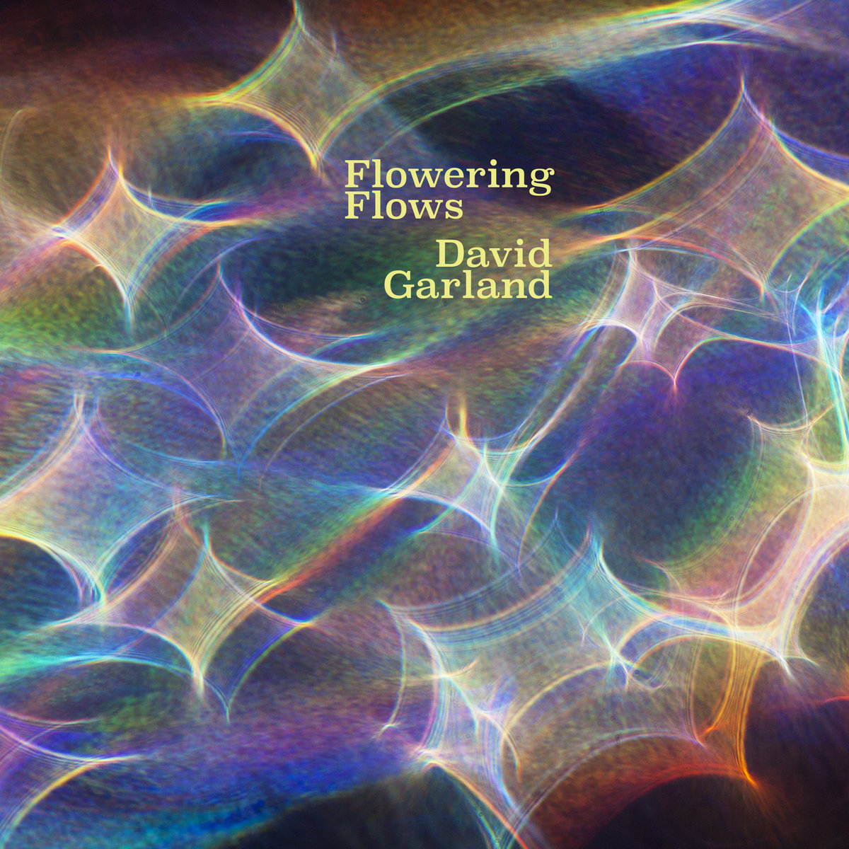 Flowering Flows | David Garland