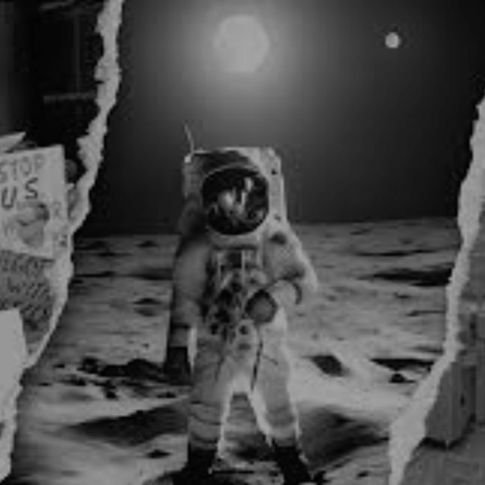 We Shot for the Moon | Doctor Angel